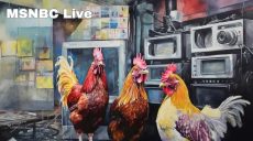 CNBC Live Stream - Live News Chat