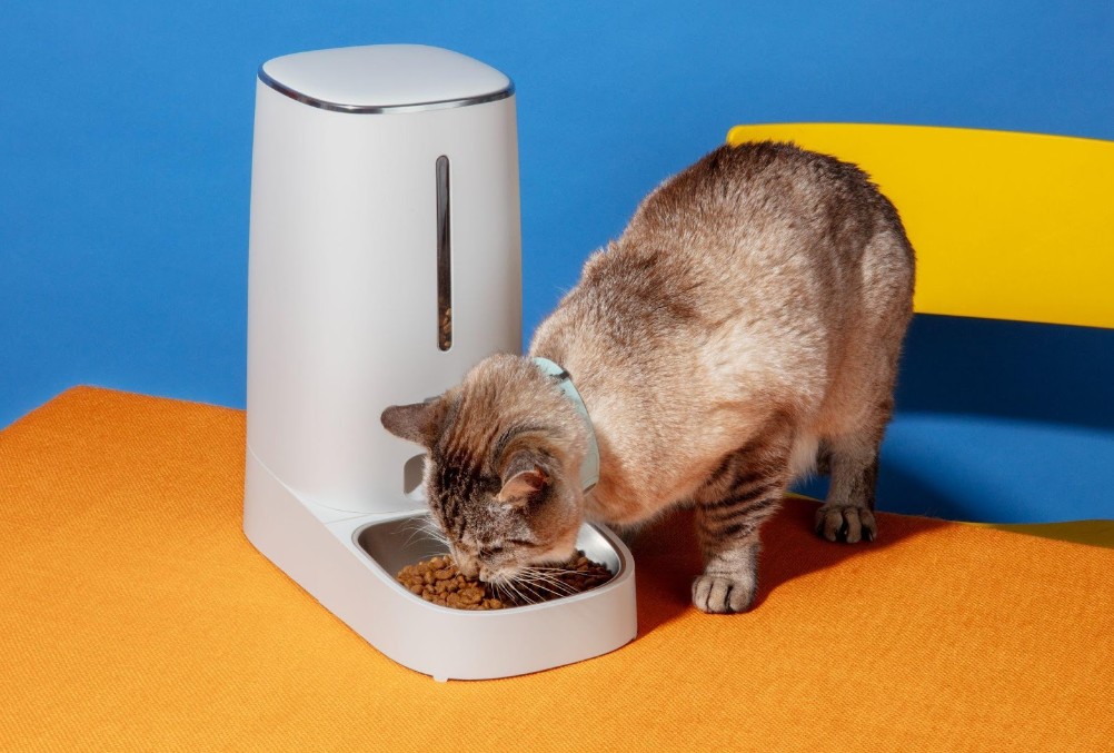 The Best Smart Gadgets For Cats: Feeders, Litter Robots & DNA Tests